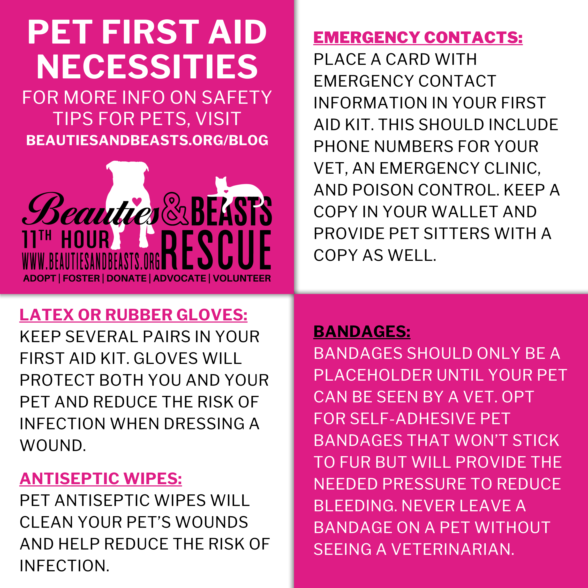 Pet First Aid Awareness Month | Beauties and Beasts